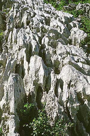 Begrippenlijst 'Geologie'
