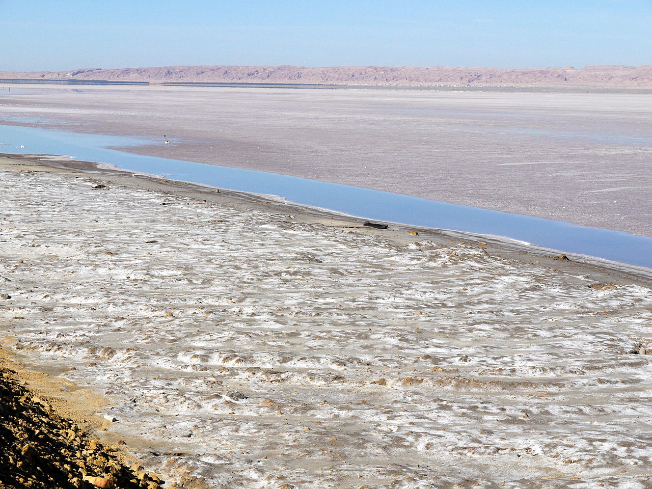 Landschappen in wereldzones