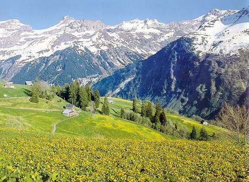 De Alpenwereld