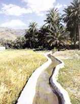 Landschappen in wereldzones