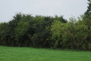 AARDRIJKSKUNDIGE BEGRIPPEN DEEL 8