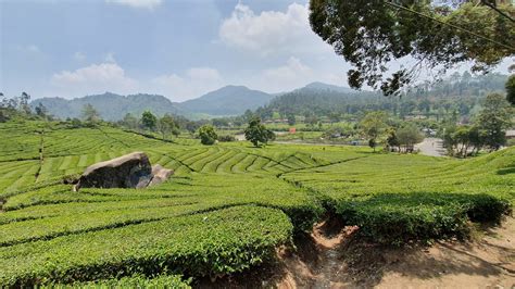 AARDRIJKSKUNDIGE BEGRIPPEN 9