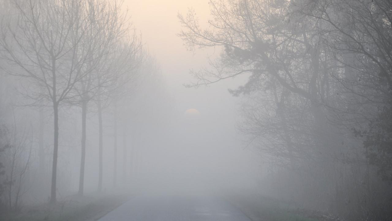Luchtvochtigheid:relatieve vochtigheid - dauwpunt - mistdroogte ...